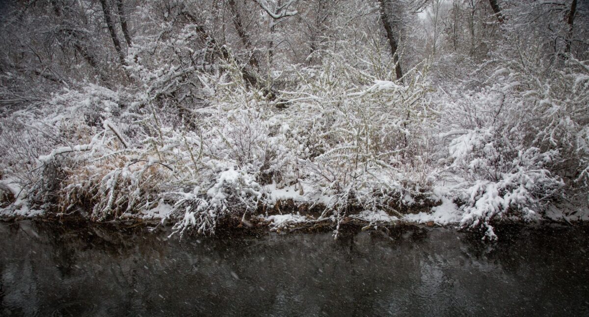 5 stories for Thursday: Winter storm warning; Weber County agri ...